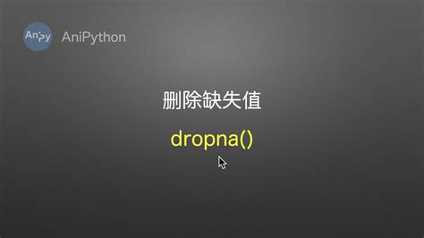pandas函数大全 dropna 删除缺失值 动画可视化讲解 python 必学库 哔哩哔哩 bilibili