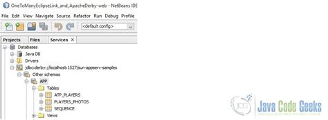Jpa One To Many Example Java Code Geeks