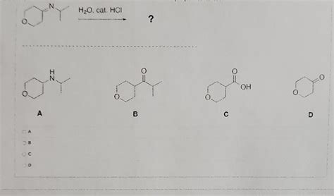 Solved A B C D Chegg Com