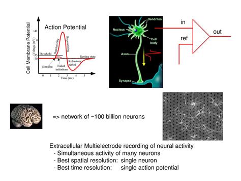 Ppt Large Scale Multielectrode Recording And Stimulation Of Neural