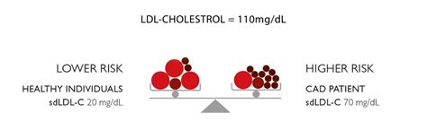 Small Dense Ldl Cholesterol Sdldl C Reagents Randox Laboratories