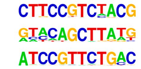 项目文章 ｜chip Seq和rna Seq联合分析助力揭示暹罗炭疽菌对咯菌腈反应的作用 知乎