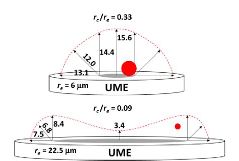 Figure 1 From Average Collision Velocity Of Single Yeast Cells During Electrochemically Induced Figure 1 From Average Collision Velocity Of Single Yeast Cells During Electrochemically Induced