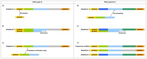 On Genotyping Polymorphic HLA Genes Ambiguities And Quality Measures Using NGS IntechOpen