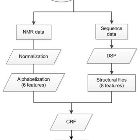 There Are Four Procedures In The Flowchart The Normalization And The