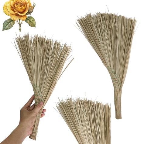 Chổi Rễ Mini Chổi Chà Chổi Xương Chổi Dừa Quét Sân Mini Dài 48cm