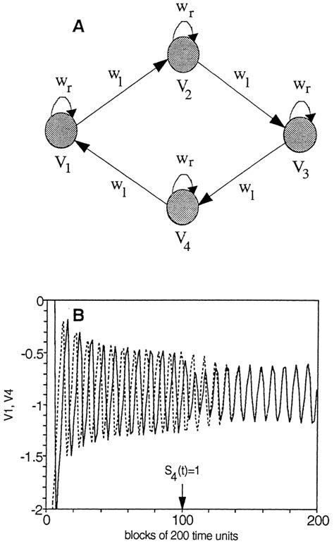 Synchronization In A Ring Of Neural Oscillators Method 2 A