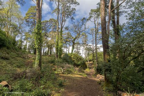 Maximizing Dynamic Range Small Sensor Photography By Thomas Stirr