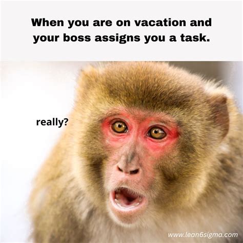 Jitendra Yadav Posted On Linkedin