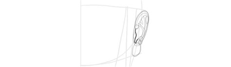 How To Draw Ears