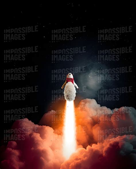 A Mouse Rocket Blasting Off Impossible Images Unique Stock Images