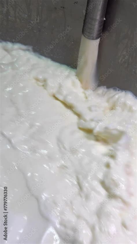 Milk Pasteurization And Safe Milk Production In Dairy Processing Plant Raw Milk Pouring Into