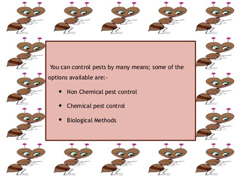 Different Types Of Pest Control Methods