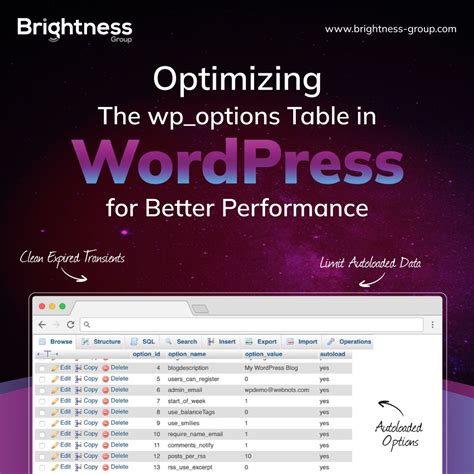Brightness Group On Linkedin Wordpress Databaseoptimization Performancetuning Wpoptions