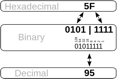 Hex To Decimal Diagram Quizlet