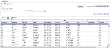 Andrej Baranovskij Blog Default Dynamic Value For Adf Query Search Field