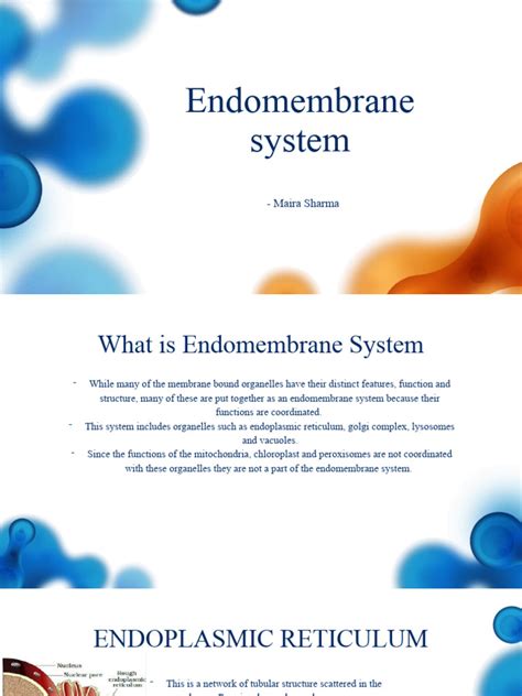 Cell Structure And Function Science 9th Grade By Slidesgo Pdf