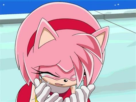 Amy Rose X Male Reader A Wilted Rose Wattpad