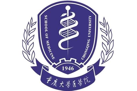 重庆大学医学院 搜狗百科
