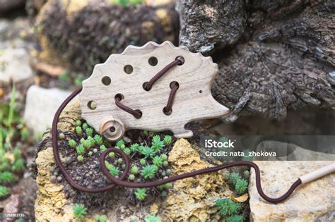 미세 한 운동 기술 손 눈 조정 수학적 기술을 교육하기위한 천연 나무 레이싱 장난감 고슴도치 몬테소리 소재 개발 교육 유치원 어린이 교육 장난감 0명에 대한 스톡 사진 및