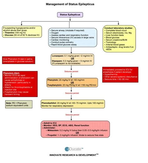 Pin On Status Epilepticus
