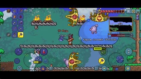 Король слизней в террарии Youtube