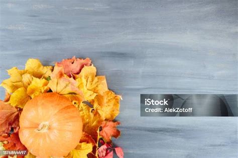 카피 공간 추수 감사절과 할로윈 개념오래된 나무 배경 위에 단풍과 호박 위에서 볼 수 있습니다 맨 위 보기 텍스트 및 디자인을 위한 공간 복사 0명에 대한 스톡 사진 및