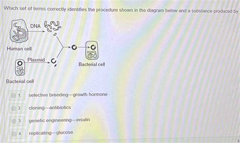 Solved Which Set Of Terms Correctly Identifies The Procedure Shown In The Diagram Below And A