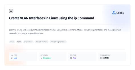 Create Vlan Interfaces In Linux Using The Ip Command Labex Create Vlan Interfaces In Linux Using The Ip Command Labex