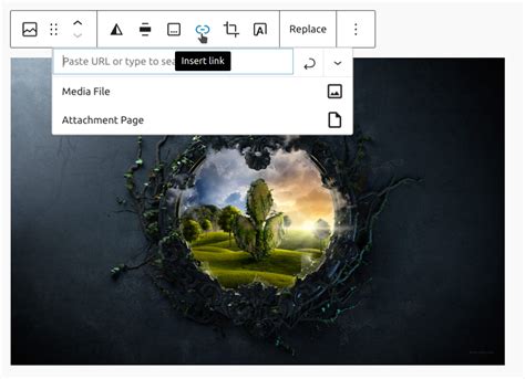 Image Block Documentation WordPress Org