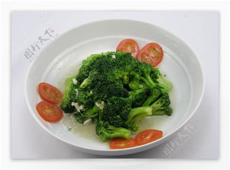 蒜茸西兰花图片素材 编号14647001 图行天下