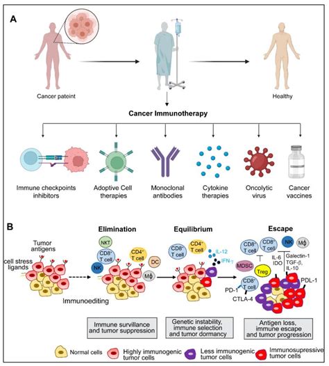 Emerging Trends In Immunotherapy For Cancer Dr S Aminnezhad