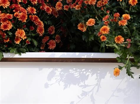 Canoe Collection Maglin Site Furniture