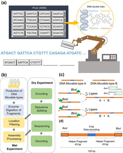 Revolutionizing Data Storage Dna Movable Type System Paves The Way For