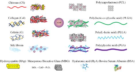 Types Of Biomaterials And Scaffolds Used In Bte Download Scientific