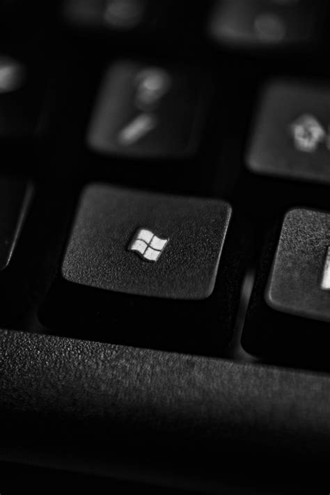 microsoft excel 2016 photos download the best free microsoft excel