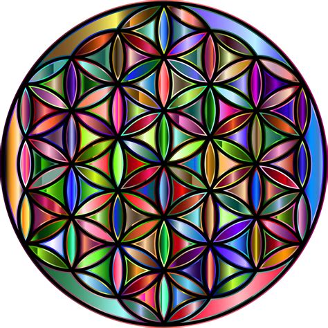 Flor Da Vida Geometria Sagrada Gráfico Vetorial Grátis No Pixabay
