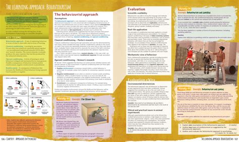 Diagram Of Behaviourist Approach Quizlet