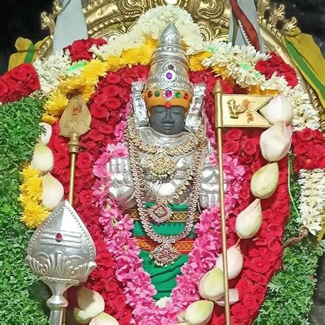 திருப்பொற்சுண்ணம் இடித்தல் ஆடி அமாவாசை தீர்த்தோற்சவ இறுதி நாள் ஆராதனைகள் அன்னமலை அருள்மிகு