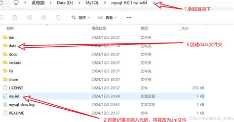 【超详细】mysql 910安装保姆级安装教程（附安装包）mysql901安装教程 Csdn博客