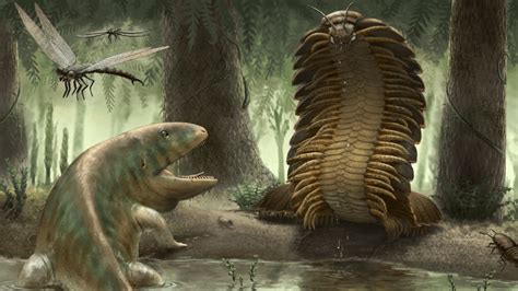 The Carboniferous Period The Time Where Arthropods Were The Biggest