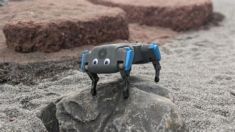 An Open Loop Baseline For Reinforcement Learning Locomotion Tasks