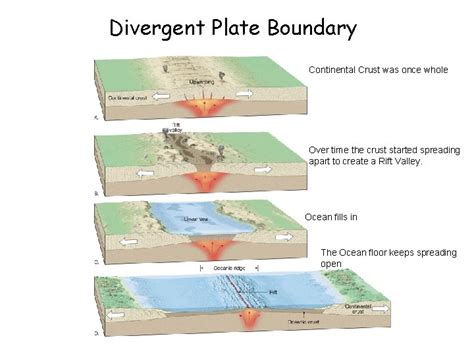 Divergent Plate Boundaries Divergent Plate Boundary Continental Crust