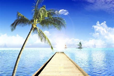 이미지 공유 마당