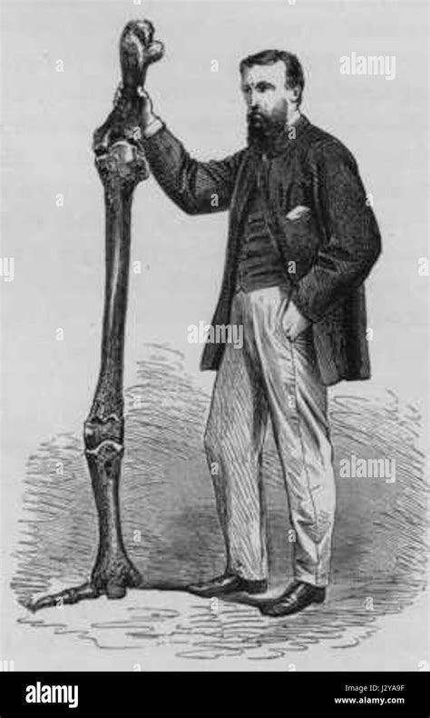 The Title Bul01birdxxiva Appears To Be A Specific Reference Possibly Related To A Bird