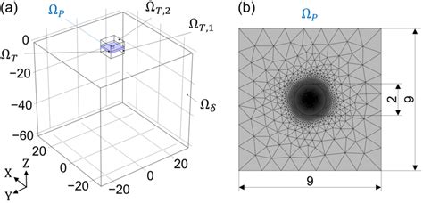 Numerical Ehl Model A Dimensionless Computational Domains B Top Download Scientific