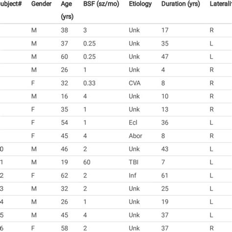 Patient Clinical Demographics For Temporal Lobe Epilepsy Series