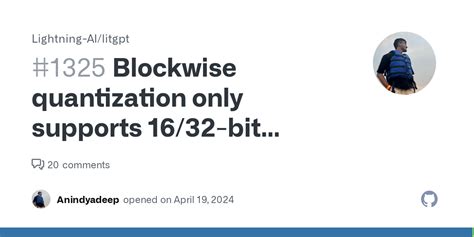 blockwise quantization only supports 16 32 bit floats but got torch