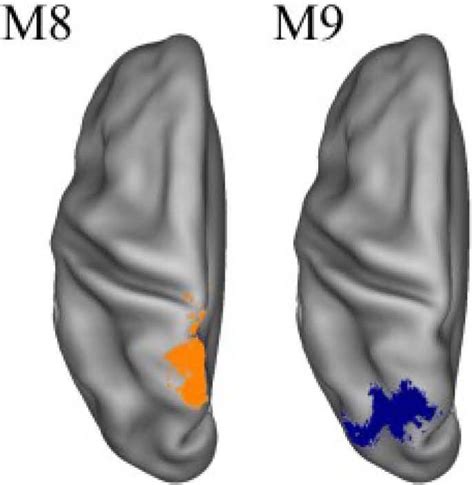 Ten Modules Detected By Infomap Method Download Scientific Diagram