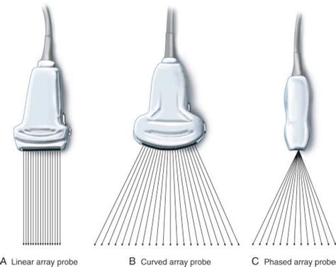 Ultrasound Guided Regional Anesthesia Clinical Tree Ultrasound Guided Regional Anesthesia Clinical Tree